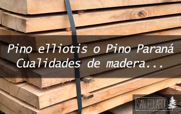 Madera de Pino elliotis o pino parana. Diferencias ¿Cual es mejor ...