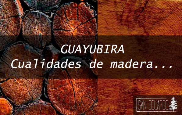 Madera guayubira. Ejemplos, características y Precios - Maderas San Eduardo
